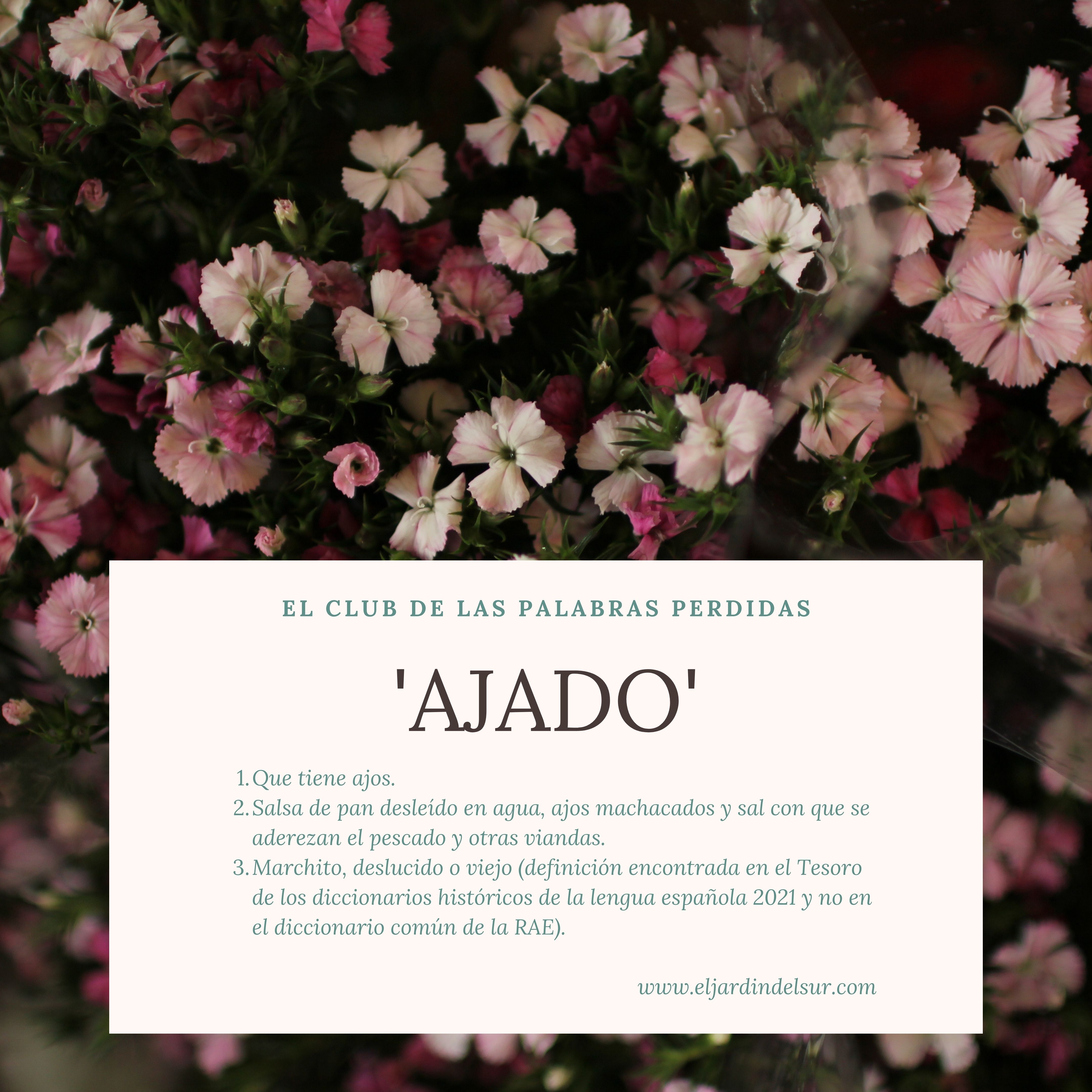 El club de las palabras perdidas: inmarcesible – El jardín del sur